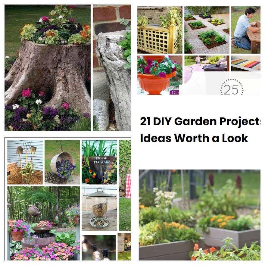 21 DIY Garden Projects Ideas Worth a Look | SharonSable
