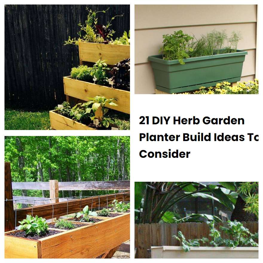 21 DIY Herb Garden Planter Build Ideas To Consider | SharonSable