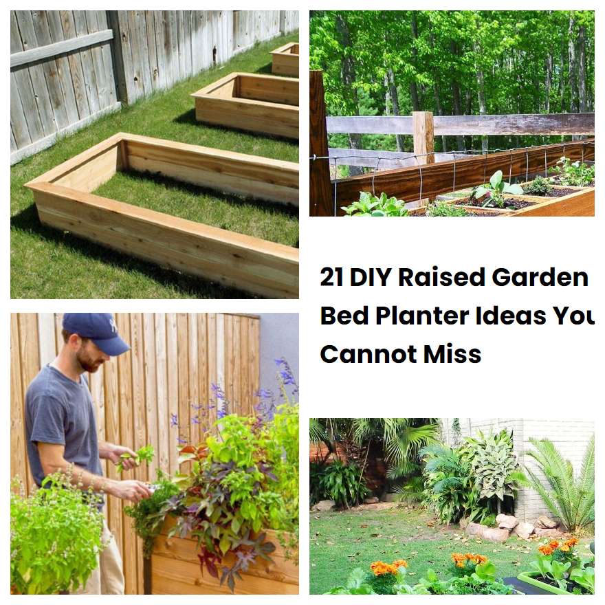 21 DIY Raised Garden Bed Planter Ideas You Cannot Miss | SharonSable