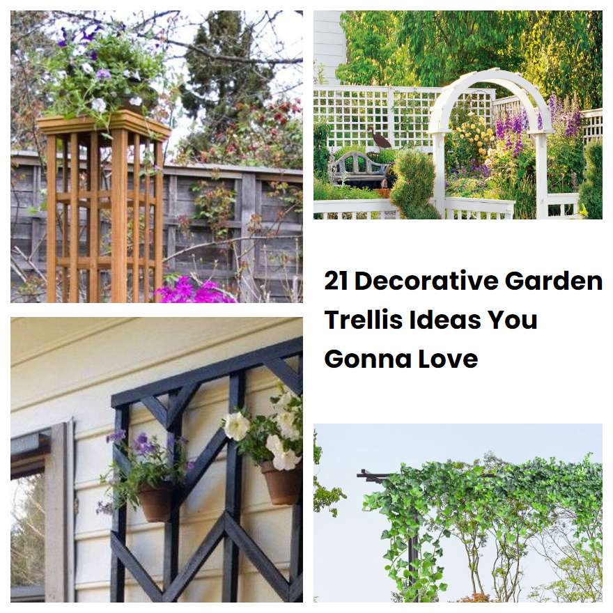 21 Decorative Garden Trellis Ideas You Gonna Love | SharonSable