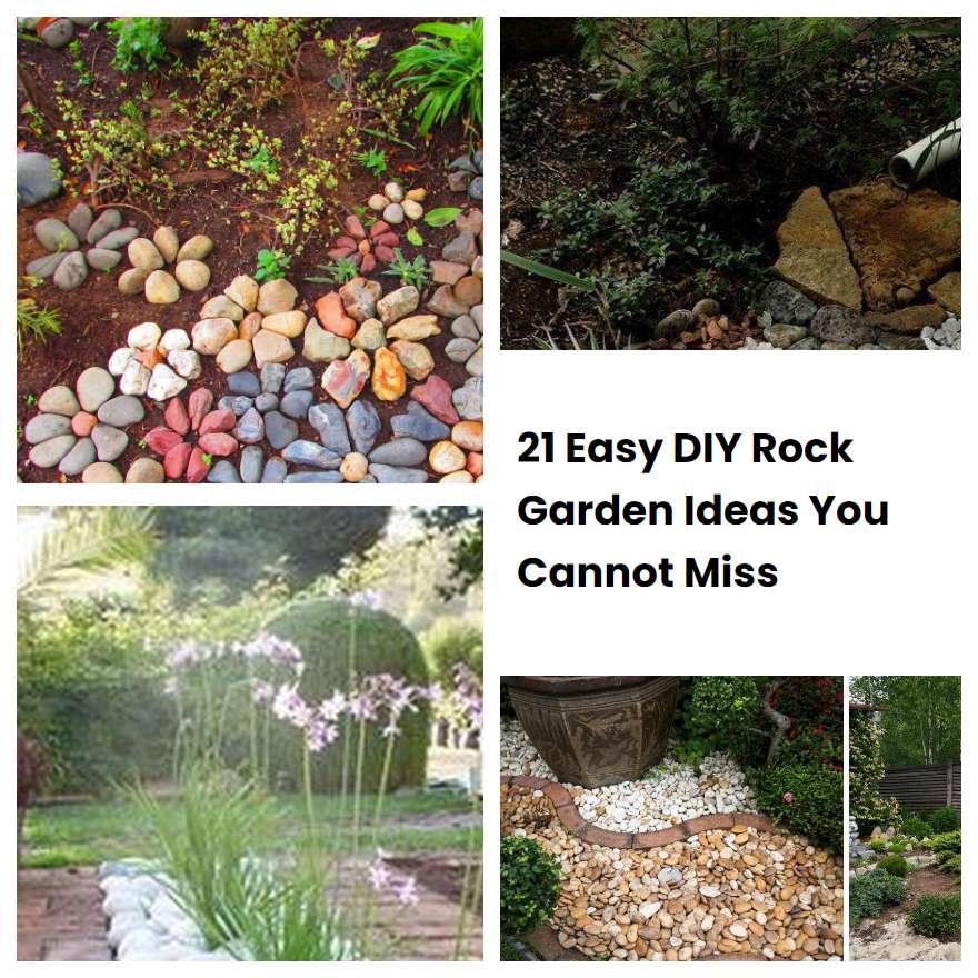 21 Easy DIY Rock Garden Ideas You Cannot Miss | SharonSable
