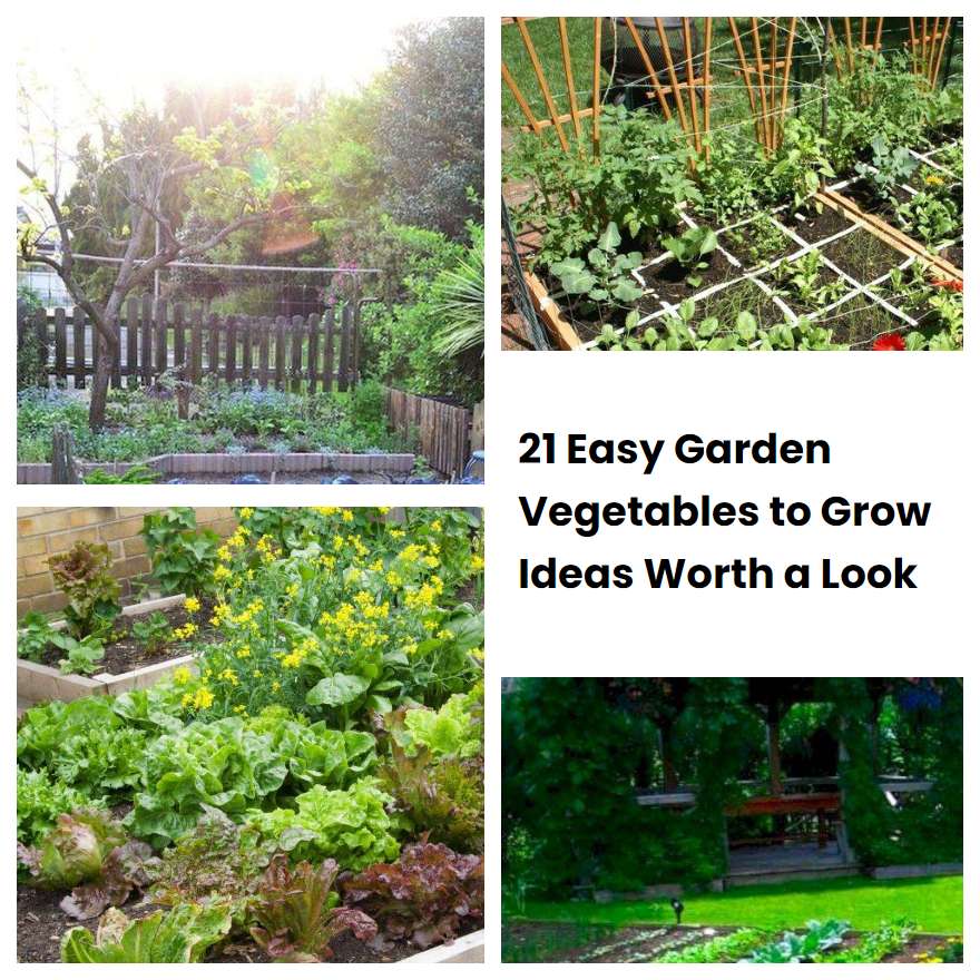 21 Easy Garden Vegetables to Grow Ideas Worth a Look | SharonSable