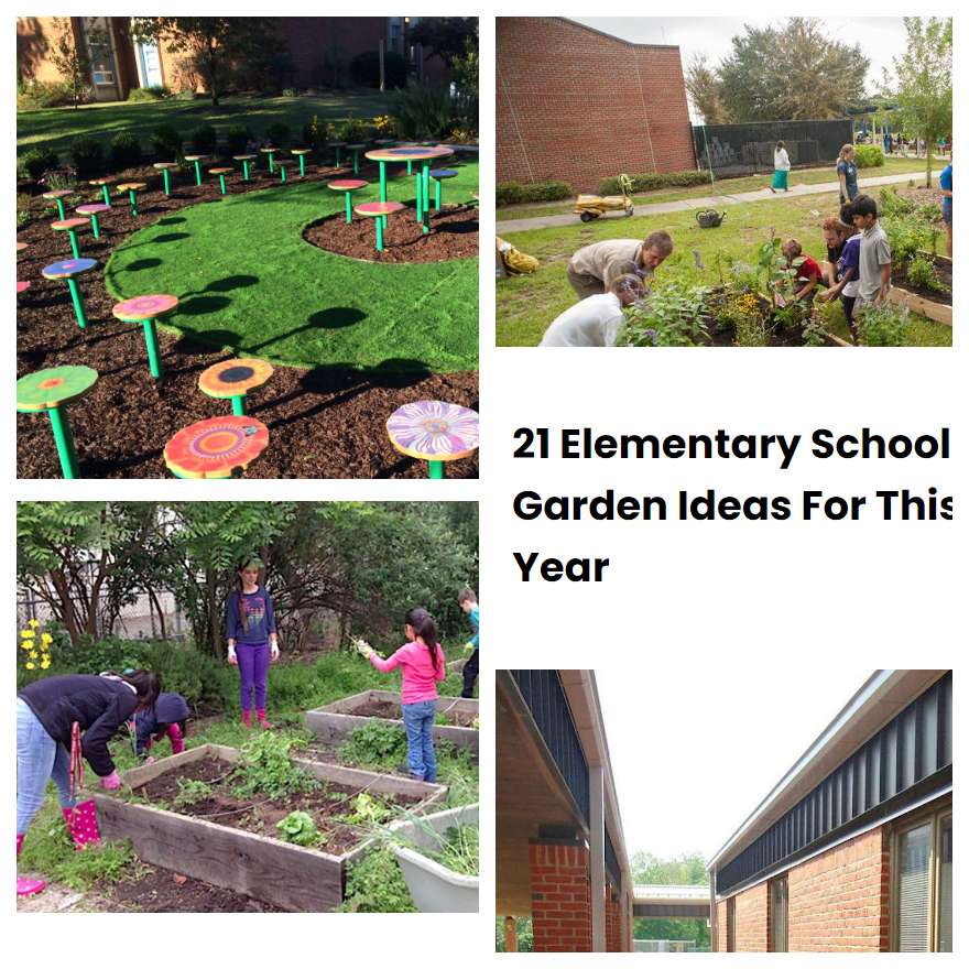 21 Elementary School Garden Ideas For This Year | SharonSable
