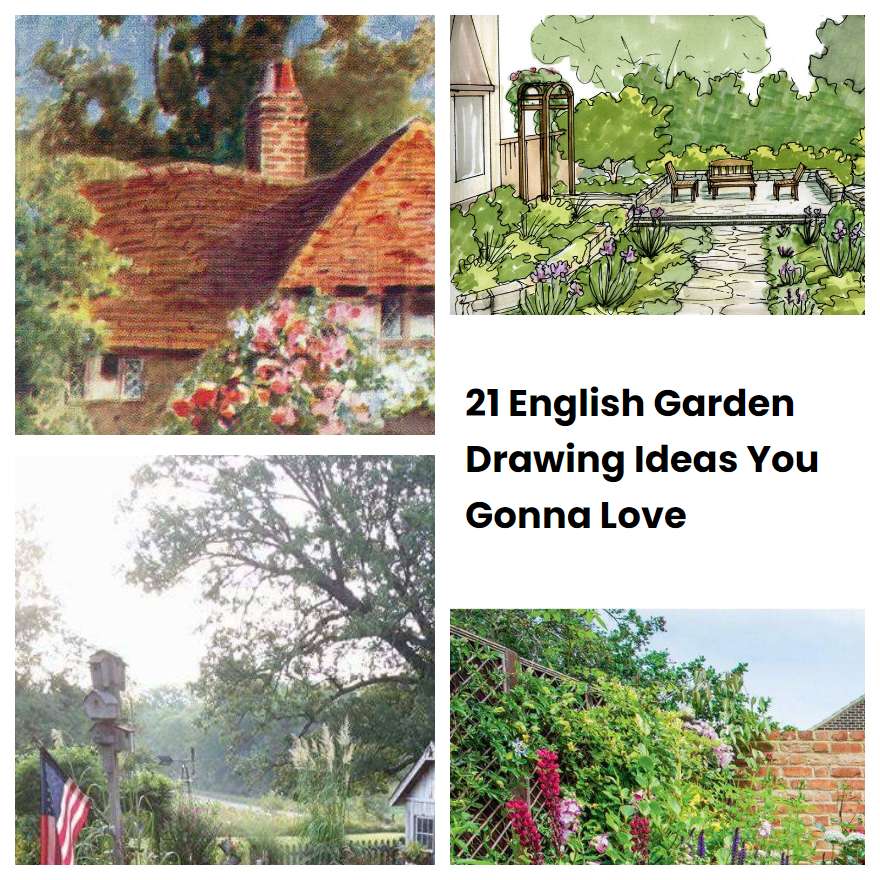 21 English Garden Drawing Ideas You Gonna Love | SharonSable