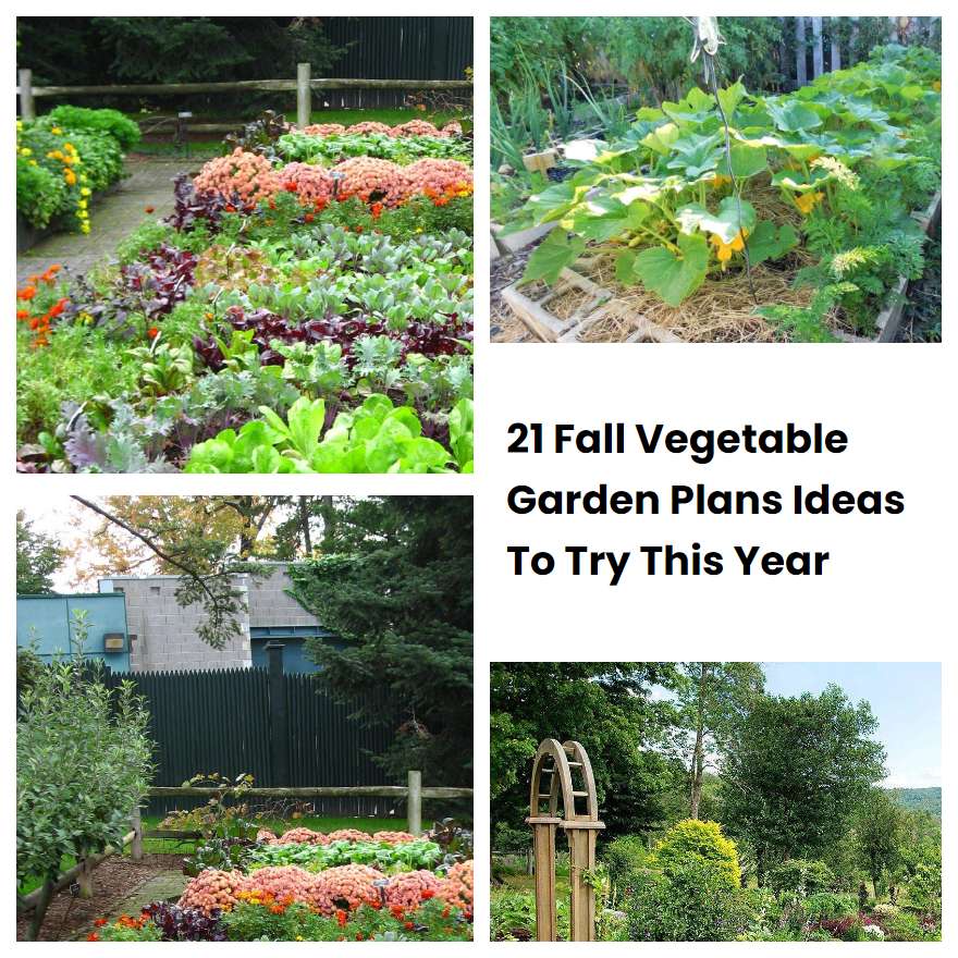 21 Fall Vegetable Garden Plans Ideas To Try This Year | SharonSable