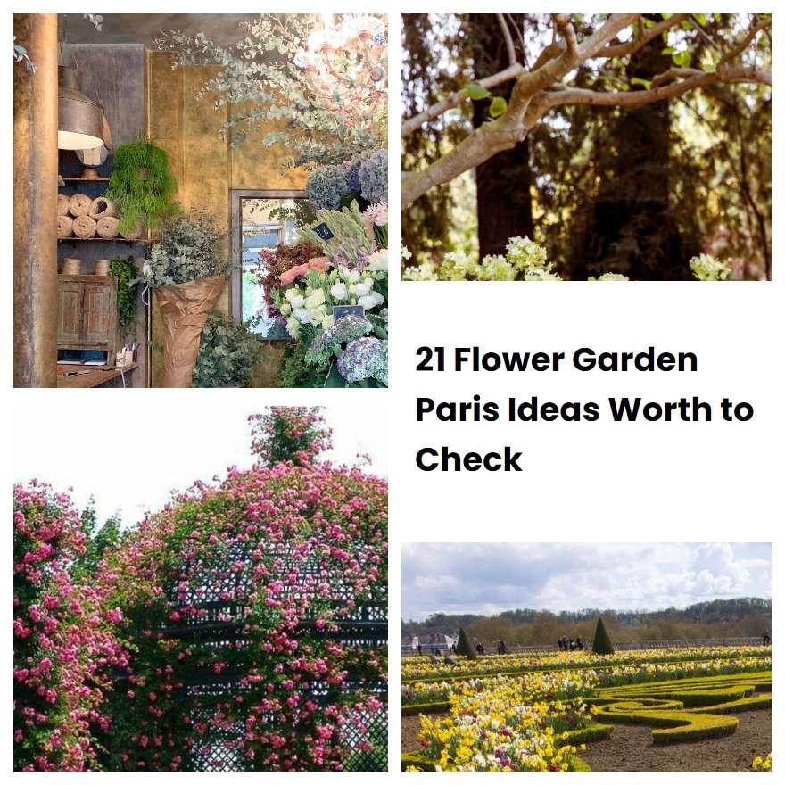 21 Flower Garden Paris Ideas Worth to Check | SharonSable