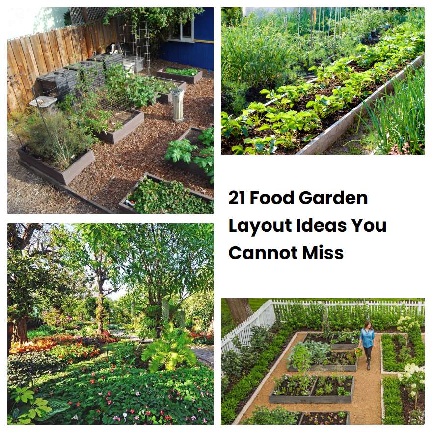 21 Food Garden Layout Ideas You Cannot Miss | SharonSable