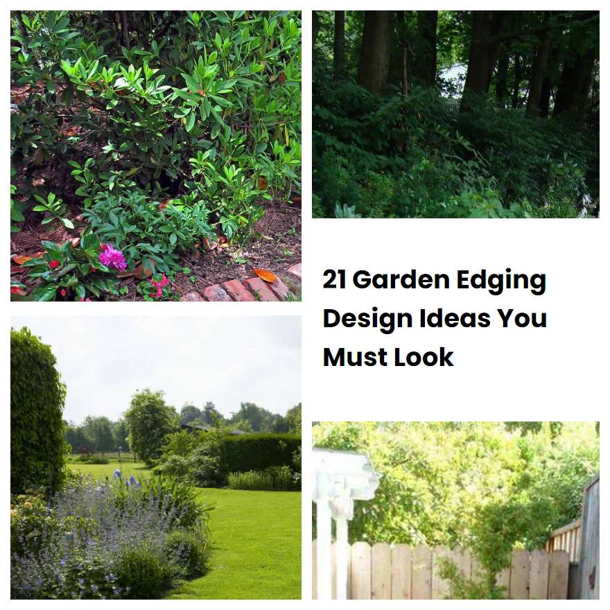 21 Garden Edging Design Ideas You Must Look | SharonSable