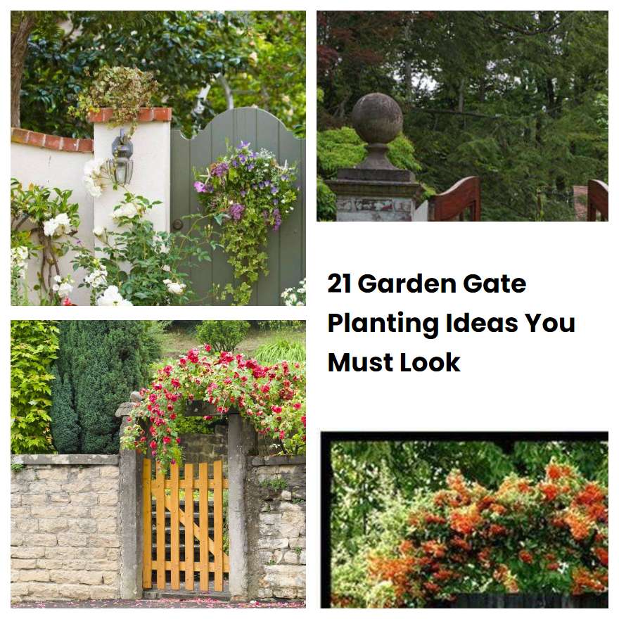 21 Garden Gate Planting Ideas You Must Look | SharonSable