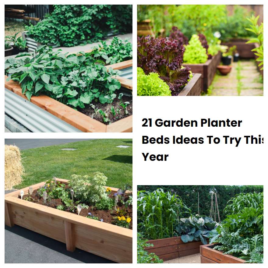 21 Garden Planter Beds Ideas To Try This Year | SharonSable