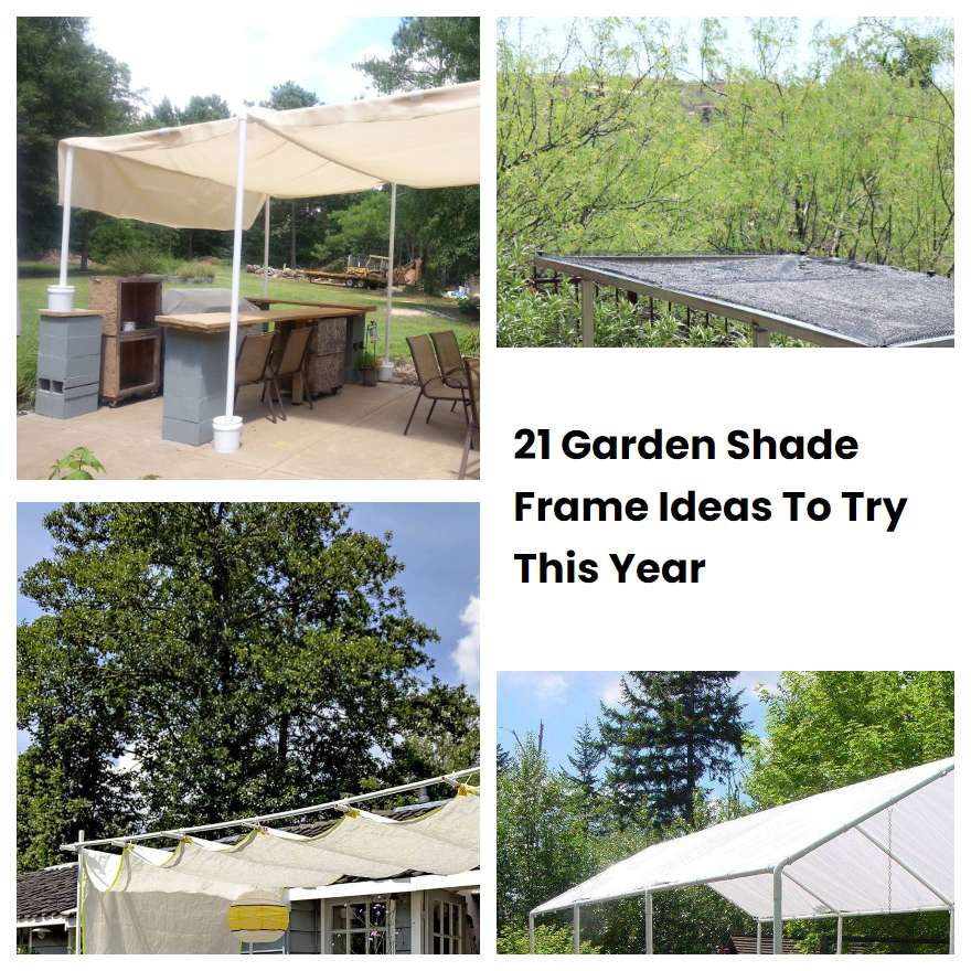 21 Garden Shade Frame Ideas To Try This Year | SharonSable
