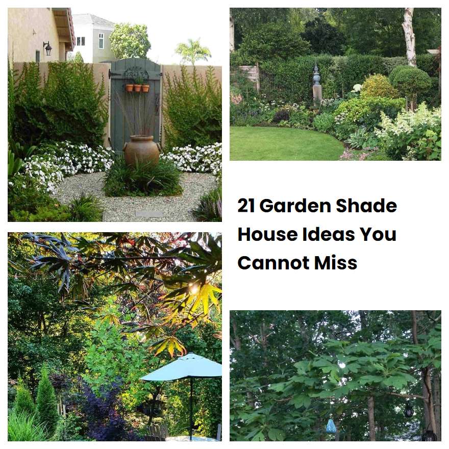 21 Garden Shade House Ideas You Cannot Miss | SharonSable