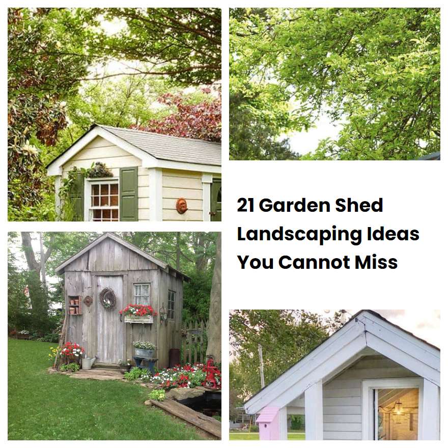 21 Garden Shed Landscaping Ideas You Cannot Miss | SharonSable
