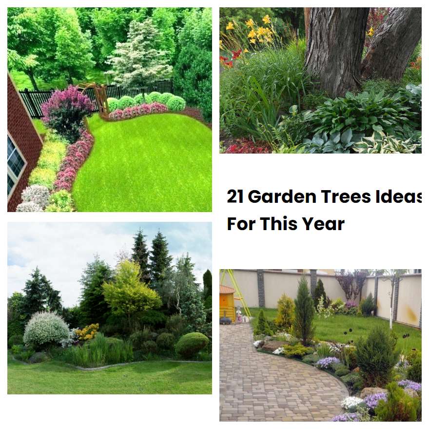 21 Garden Trees Ideas For This Year | SharonSable