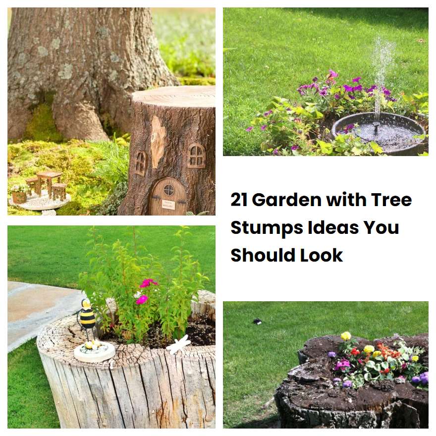 21 Garden with Tree Stumps Ideas You Should Look | SharonSable