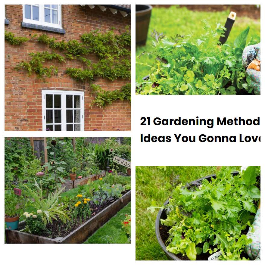 21 Gardening Methods Ideas You Gonna Love | SharonSable