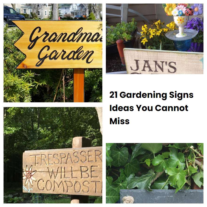 21 Gardening Signs Ideas You Cannot Miss | SharonSable