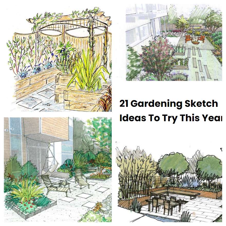 21 Gardening Sketch Ideas To Try This Year | SharonSable