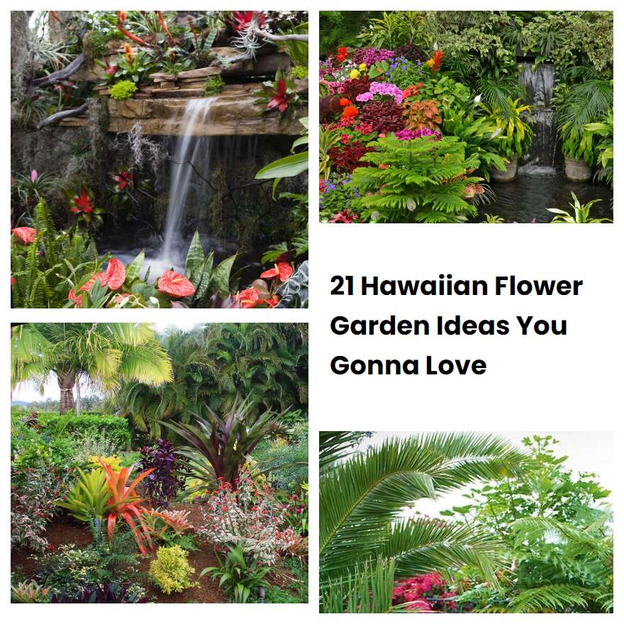 21 Hawaiian Flower Garden Ideas You Gonna Love | SharonSable
