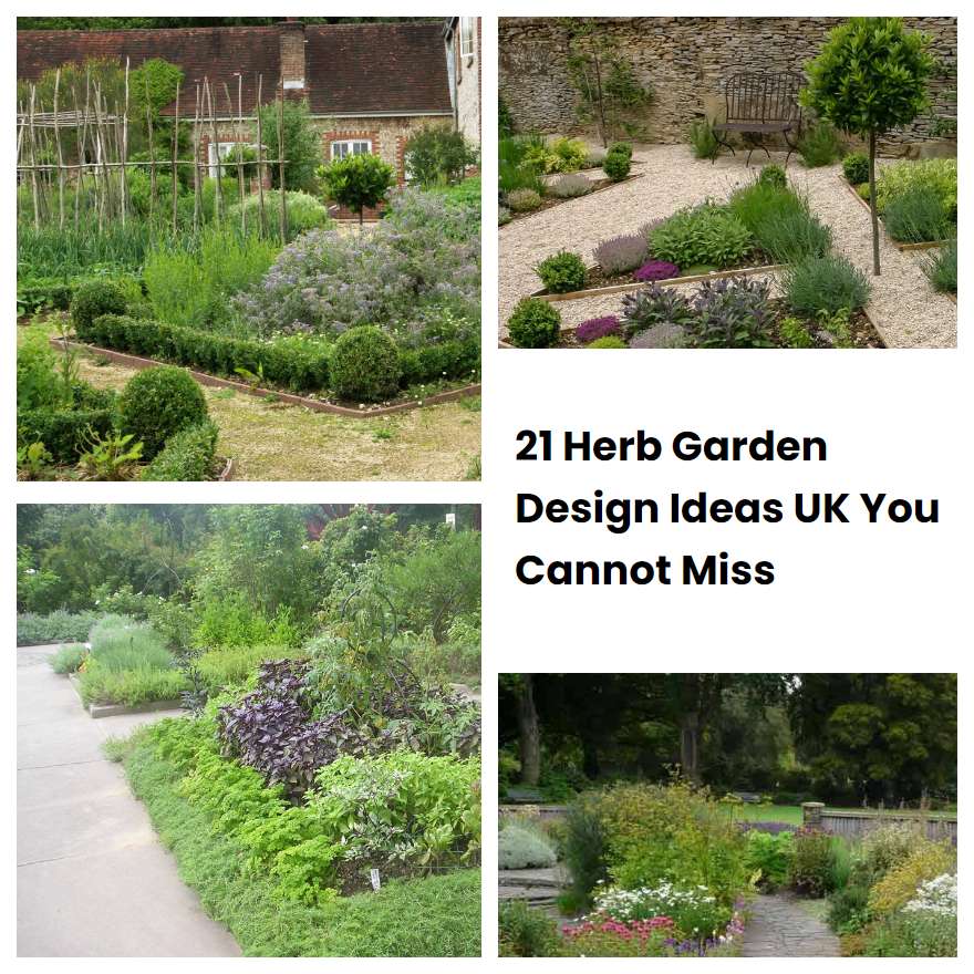 21 Herb Garden Design Ideas UK You Cannot Miss | SharonSable