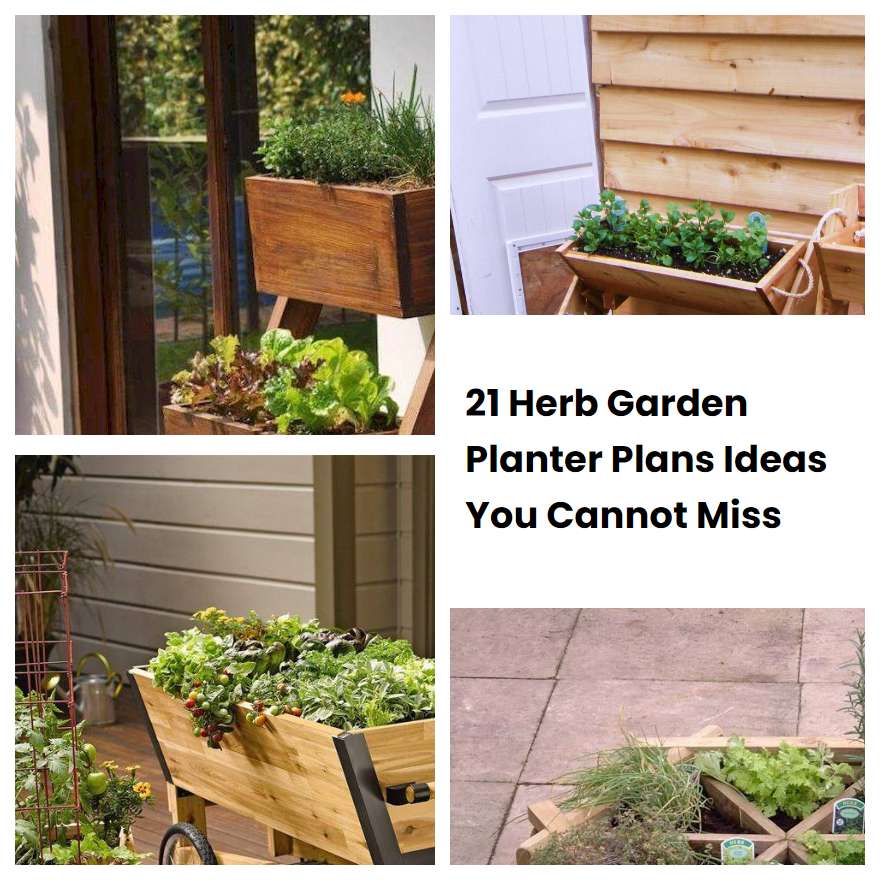21 Herb Garden Planter Plans Ideas You Cannot Miss | SharonSable