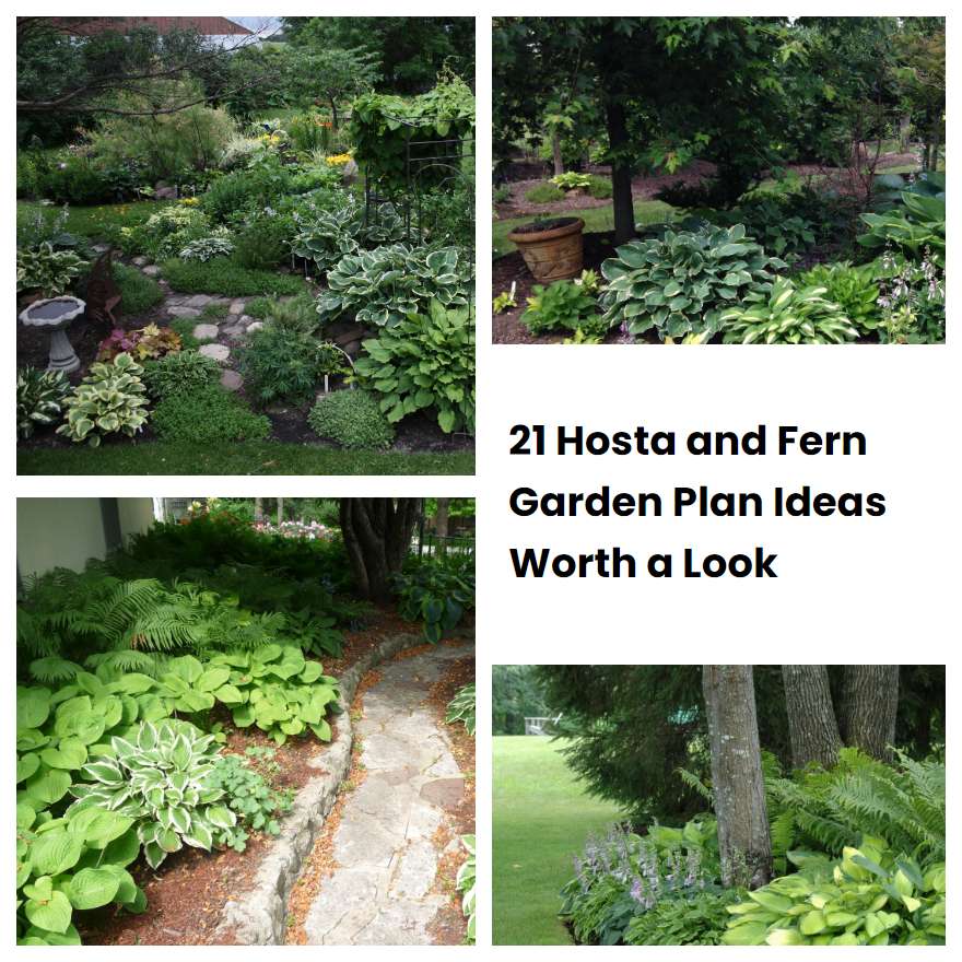 21 Hosta and Fern Garden Plan Ideas Worth a Look | SharonSable