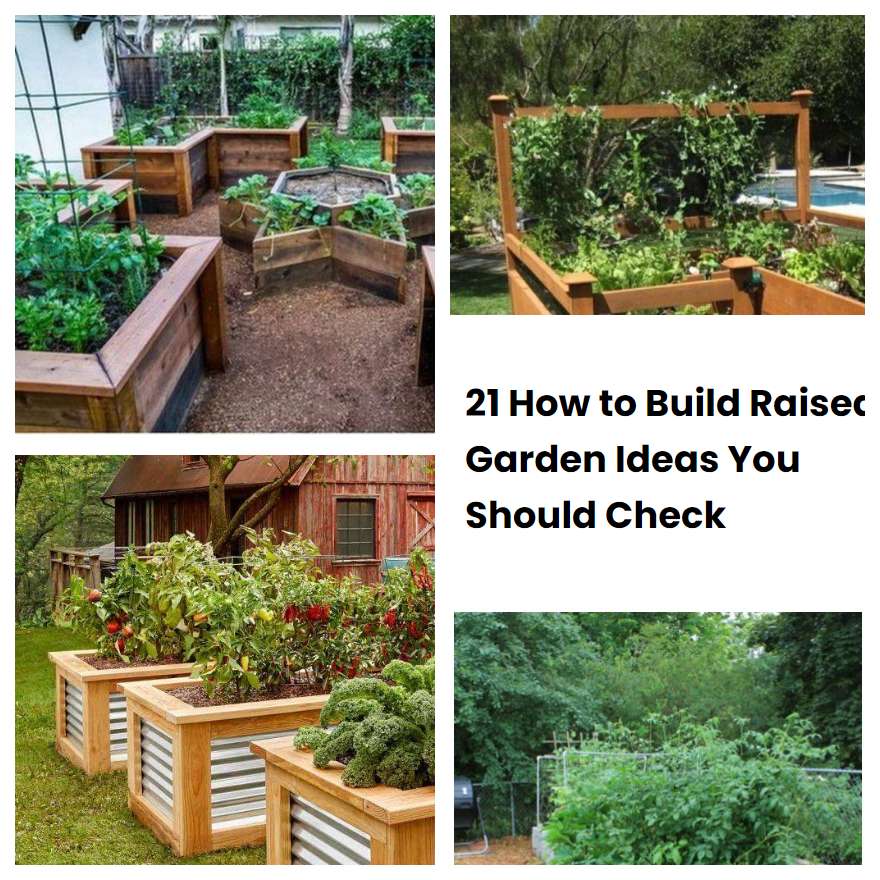 21 How to Build Raised Garden Ideas You Should Check | SharonSable