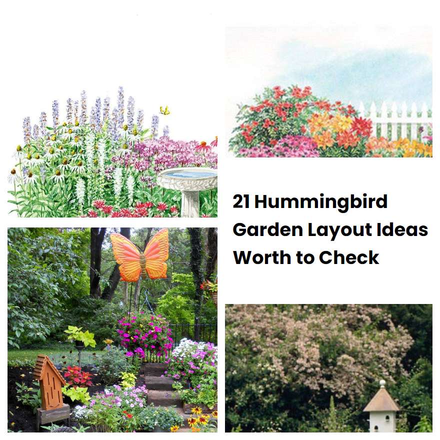 21 Hummingbird Garden Layout Ideas Worth to Check | SharonSable
