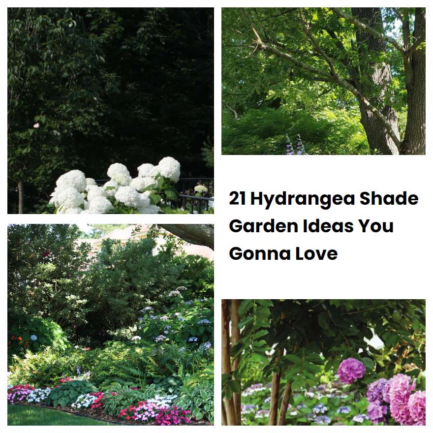 21 Hydrangea Shade Garden Ideas You Gonna Love | SharonSable