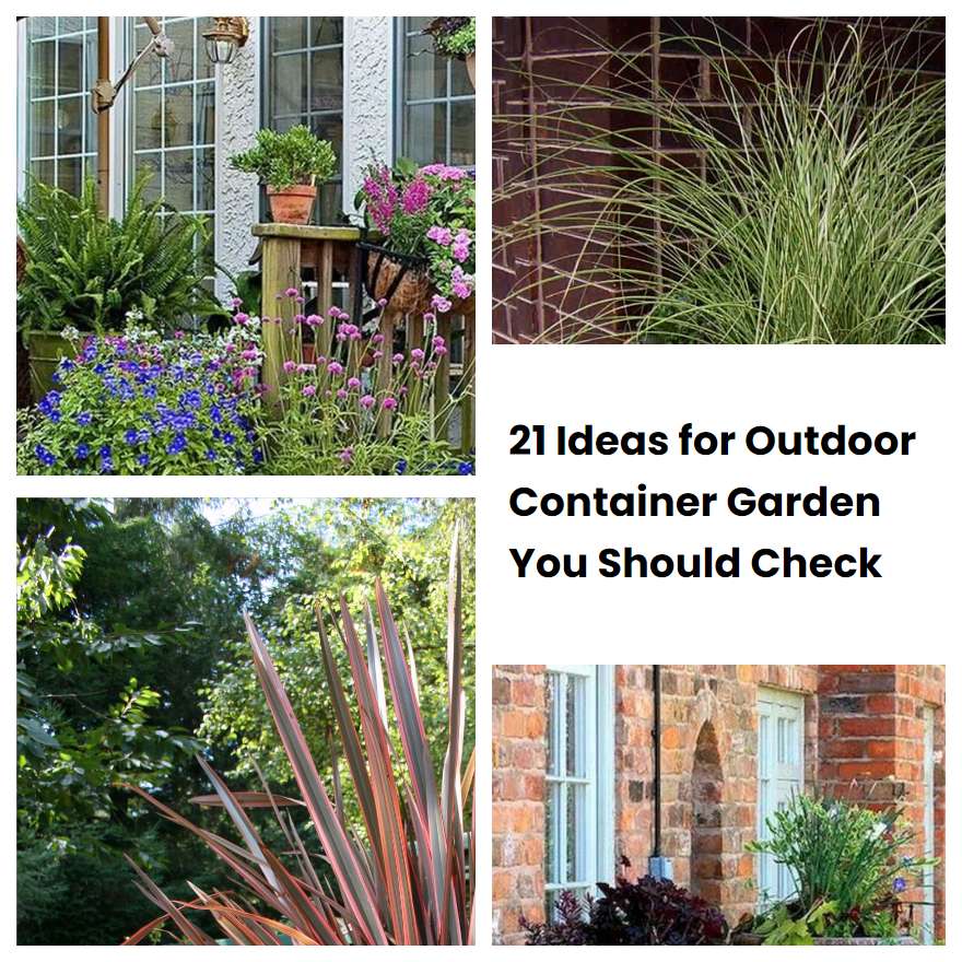21 Ideas for Outdoor Container Garden You Should Check | SharonSable
