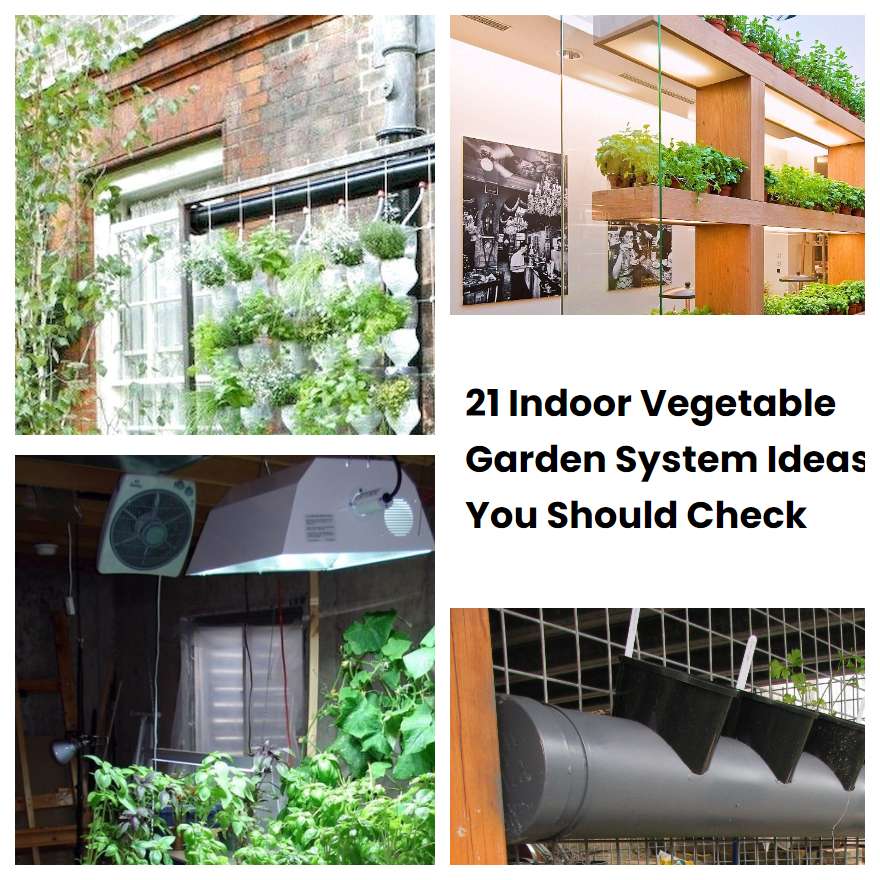 21 Indoor Vegetable Garden System Ideas You Should Check | SharonSable