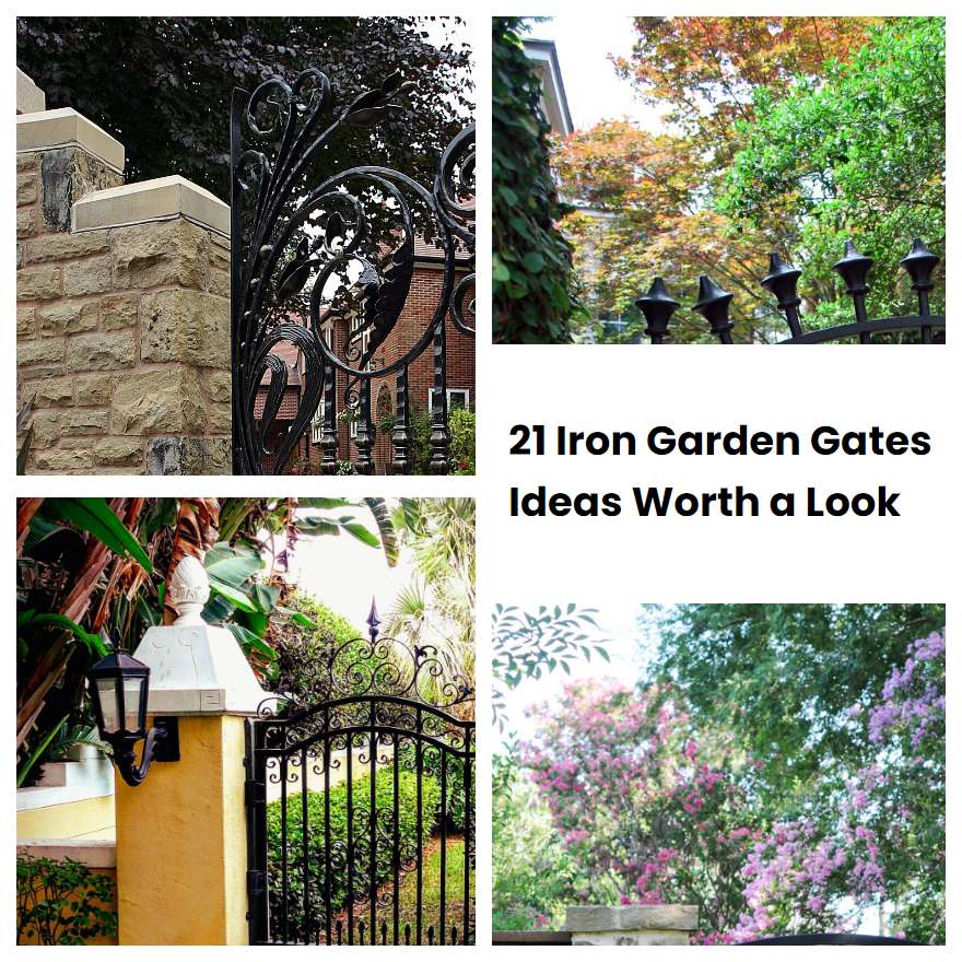 21 Iron Garden Gates Ideas Worth a Look | SharonSable
