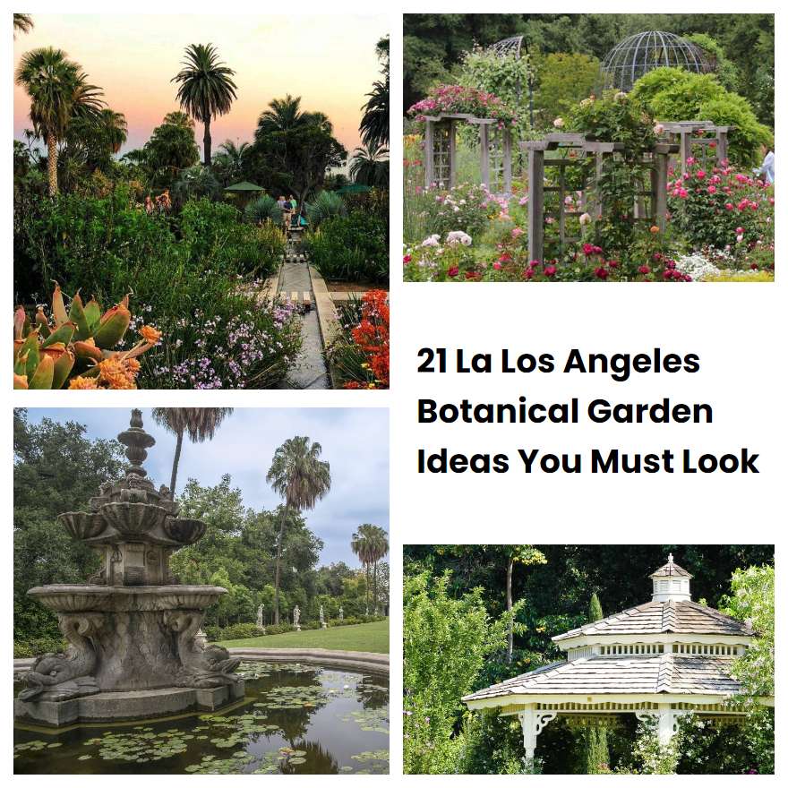 21 La Los Angeles Botanical Garden Ideas You Must Look | SharonSable