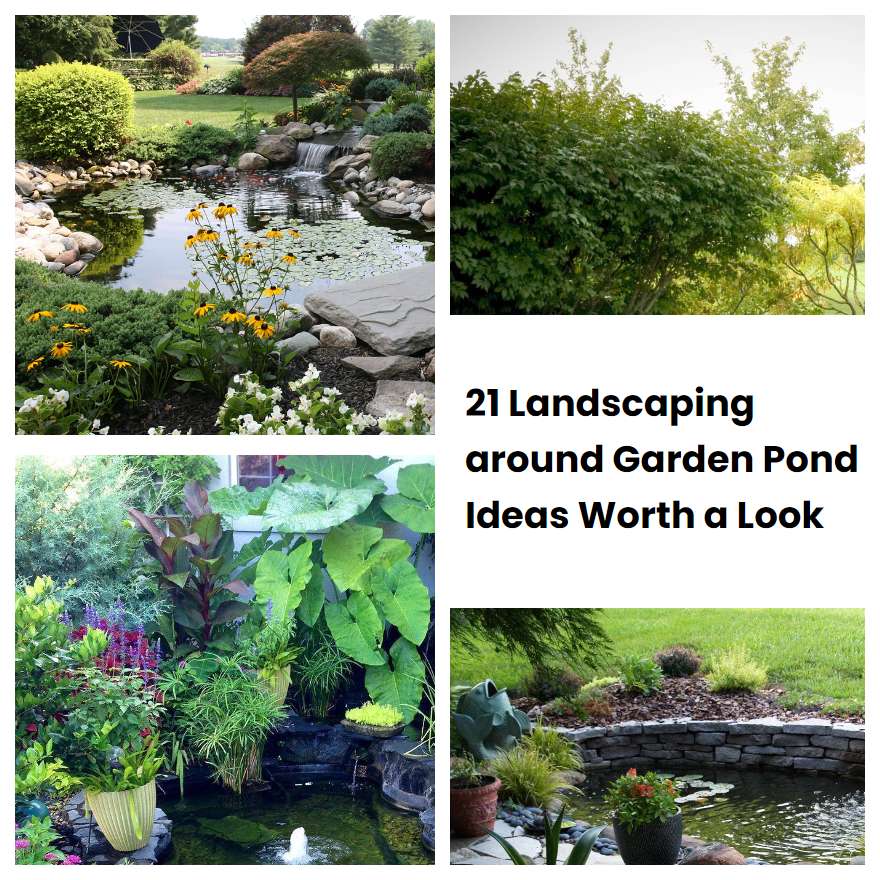 21 Landscaping around Garden Pond Ideas Worth a Look | SharonSable