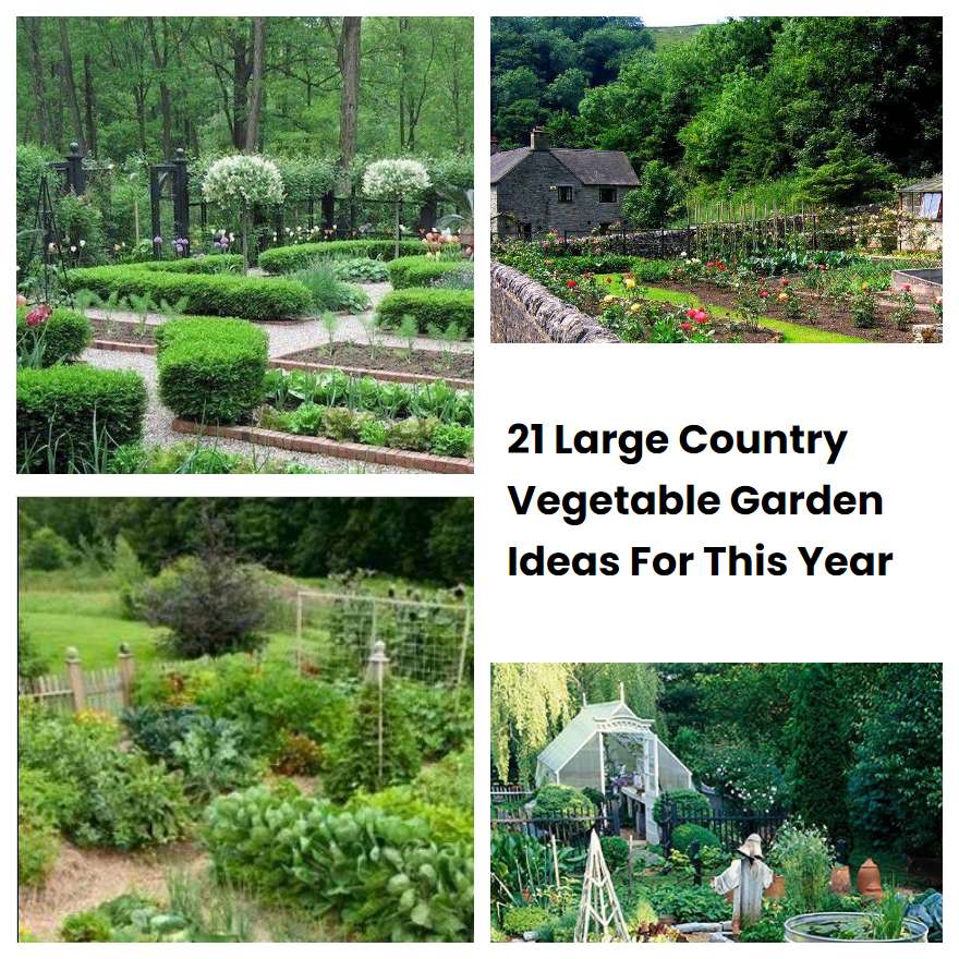 21 Large Country Vegetable Garden Ideas For This Year | SharonSable