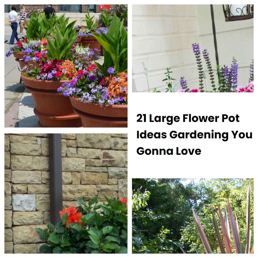 21 Large Flower Pot Ideas Gardening You Gonna Love | SharonSable