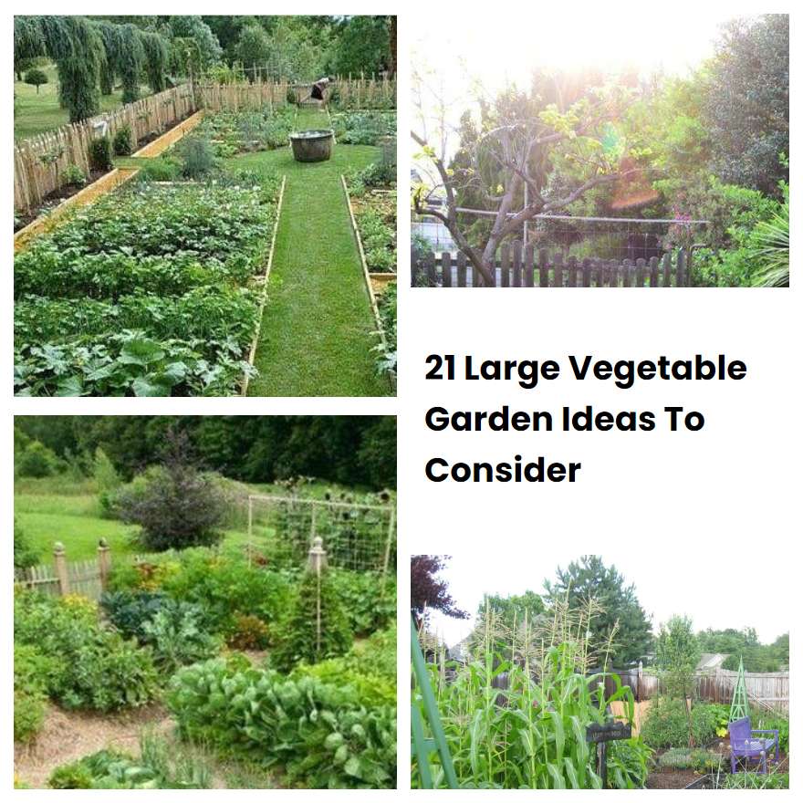 21 Large Vegetable Garden Ideas To Consider | SharonSable