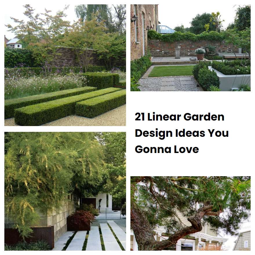 21 Linear Garden Design Ideas You Gonna Love | SharonSable