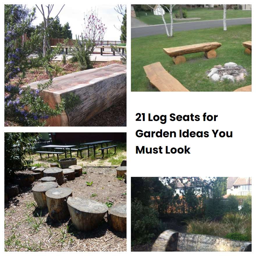 21 Log Seats for Garden Ideas You Must Look | SharonSable