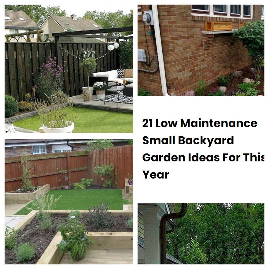 21 Low Maintenance Small Backyard Garden Ideas For This Year | SharonSable