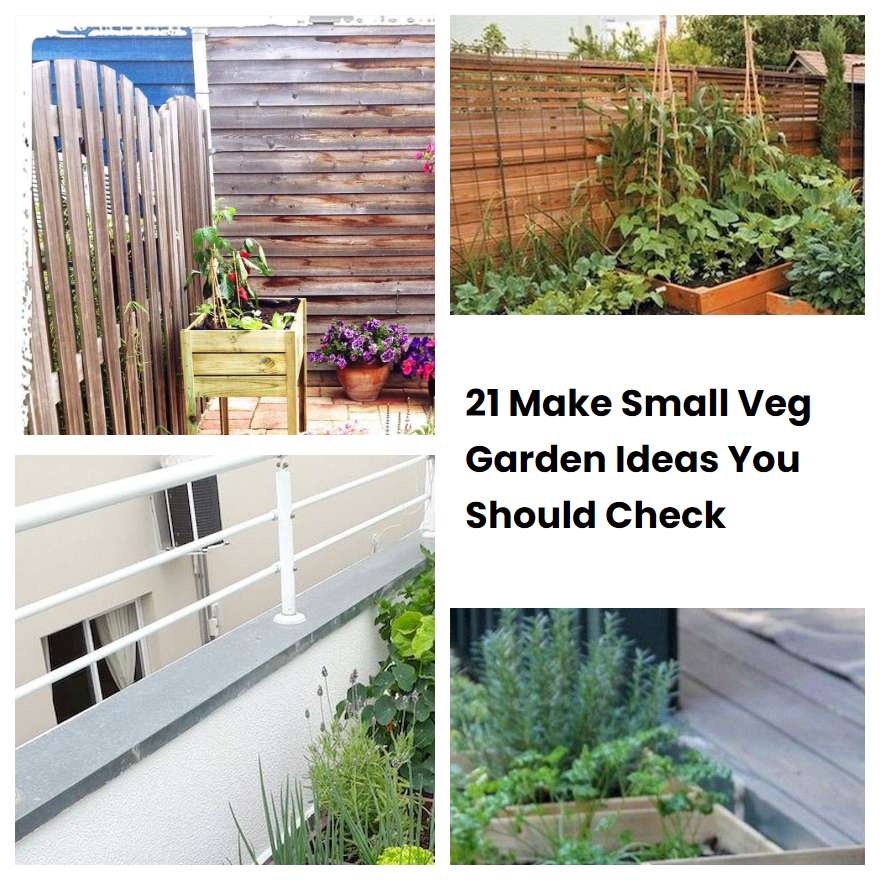 21 Make Small Veg Garden Ideas You Should Check | SharonSable