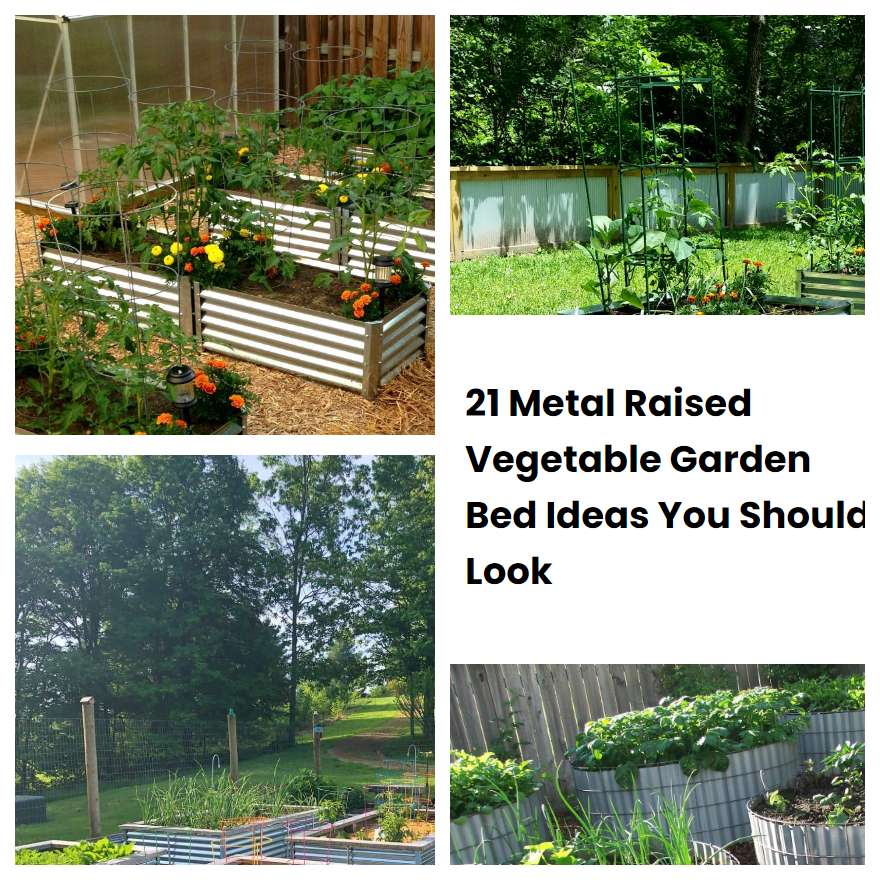 21 Metal Raised Vegetable Garden Bed Ideas You Should Look | SharonSable
