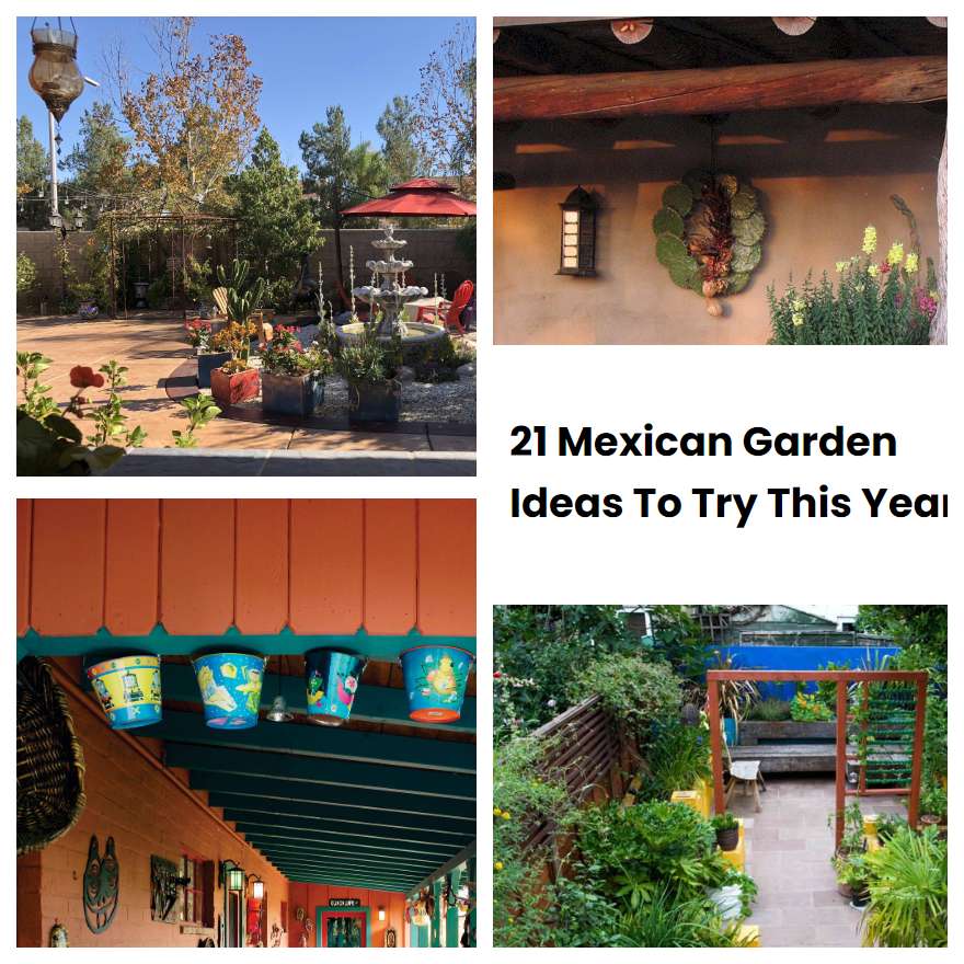 21 Mexican Garden Ideas To Try This Year | SharonSable
