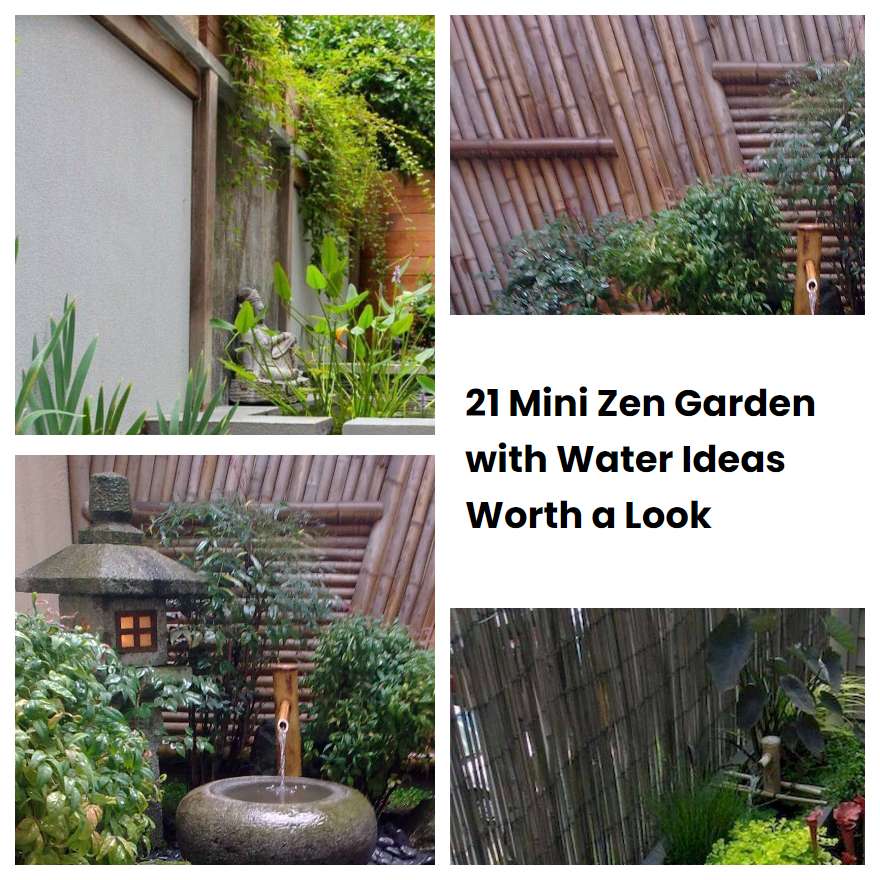 21 Mini Zen Garden with Water Ideas Worth a Look | SharonSable