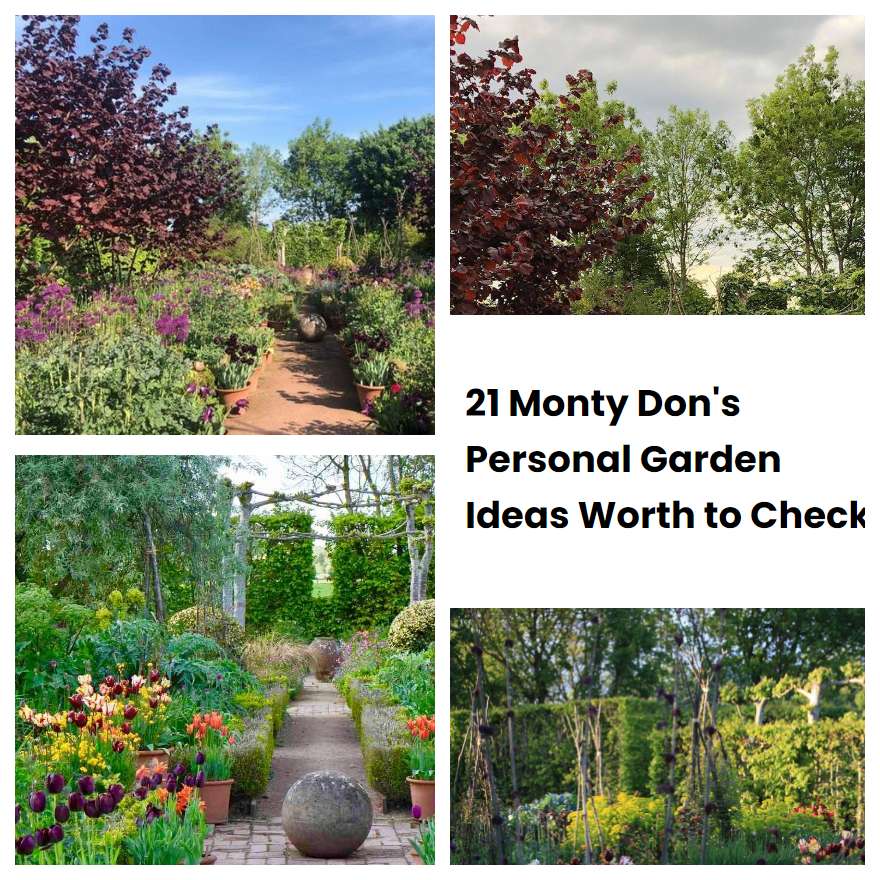 21 Monty Dons Personal Garden Ideas Worth to Check | SharonSable