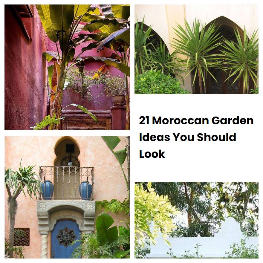 21 Moroccan Garden Ideas You Should Look | SharonSable