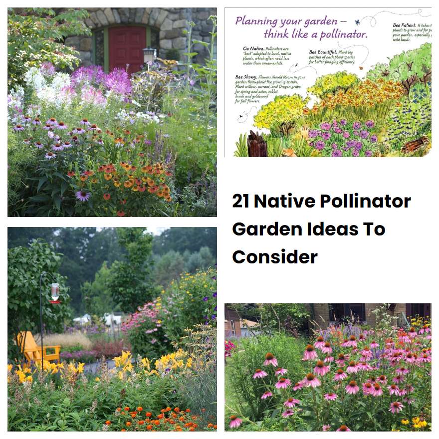 21 Native Pollinator Garden Ideas To Consider | SharonSable