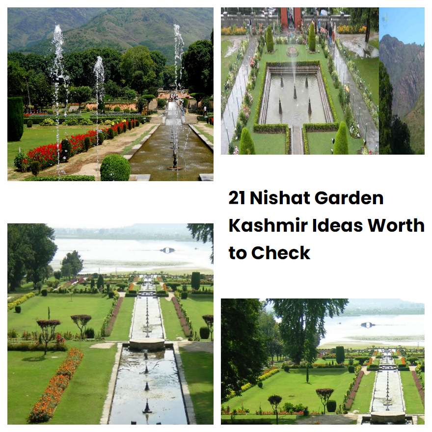 21 Nishat Garden Kashmir Ideas Worth to Check | SharonSable