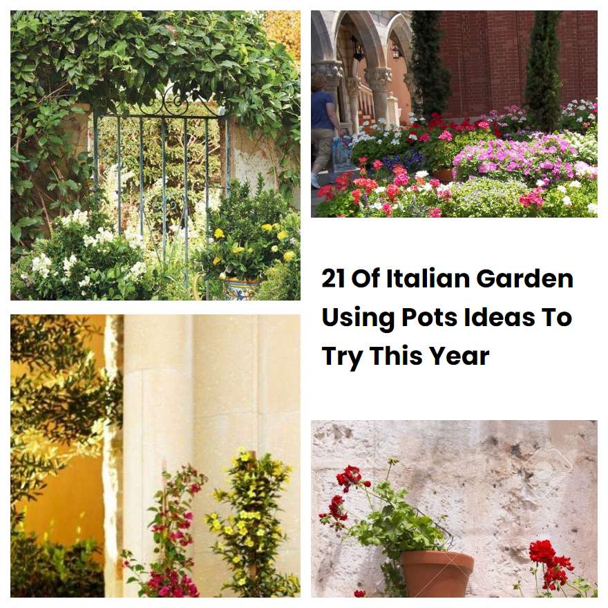 21 Of Italian Garden Using Pots Ideas To Try This Year | SharonSable