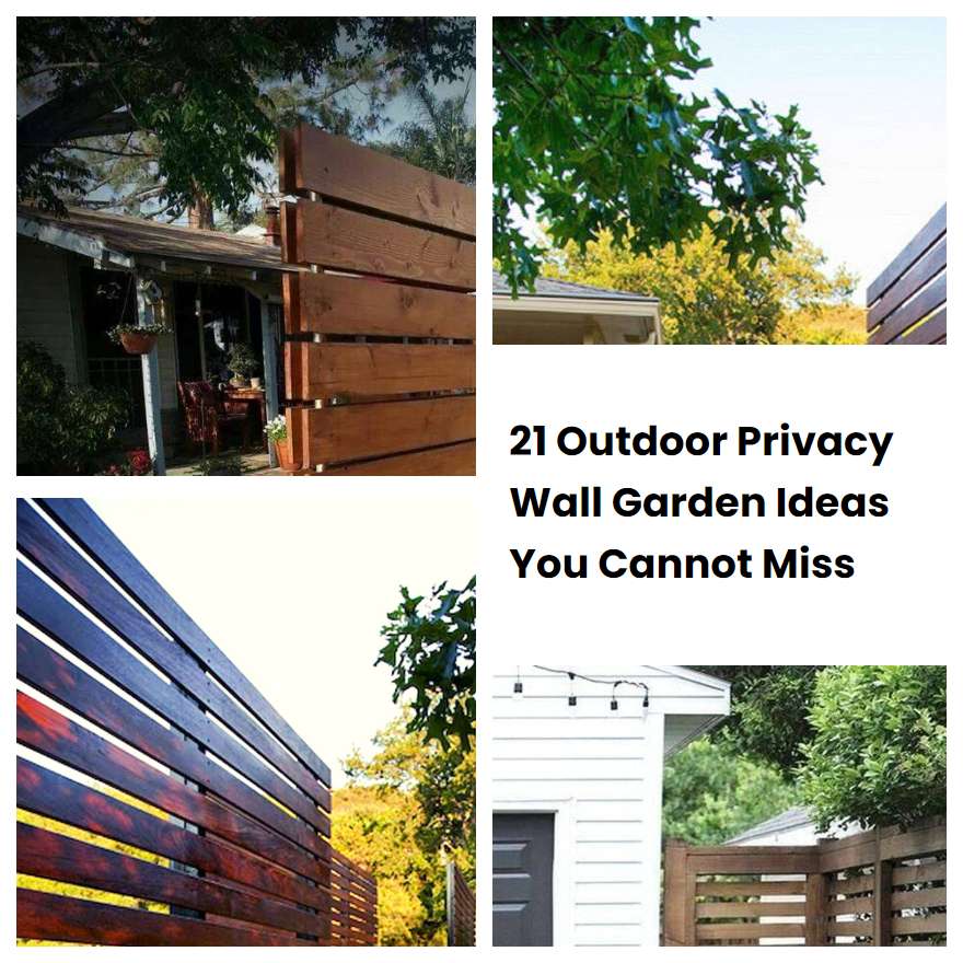 21 Outdoor Privacy Wall Garden Ideas You Cannot Miss | SharonSable